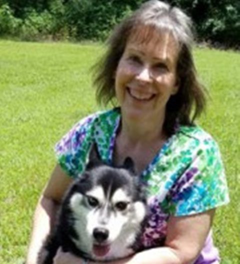 Veterinarian In Southaven, MS 38671 | Desoto County Animal Clinic